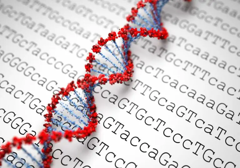 Can You Get DNA from Teeth?