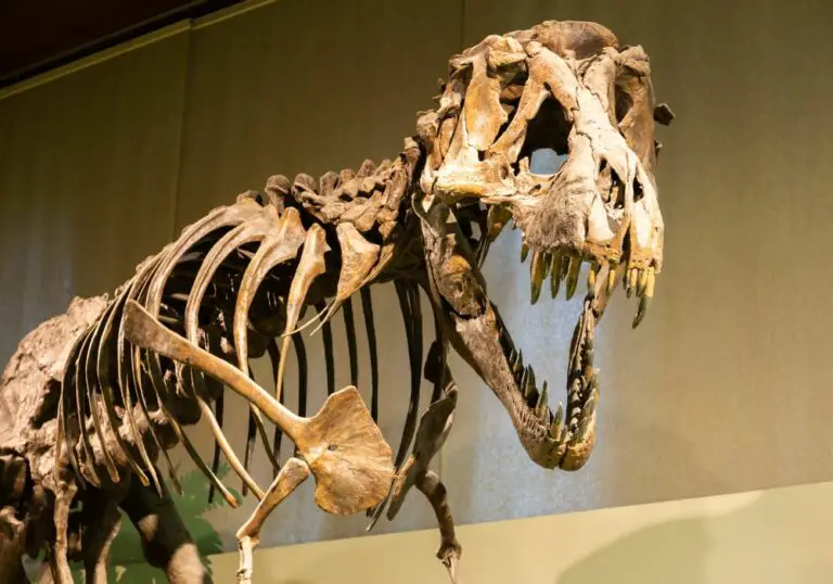 Why Did T. rex Have Big Teeth? (Evolutionary Drivers Behind)