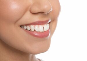 Why Are The 2 Front Teeth So Big? (Evolutionary Purpose)