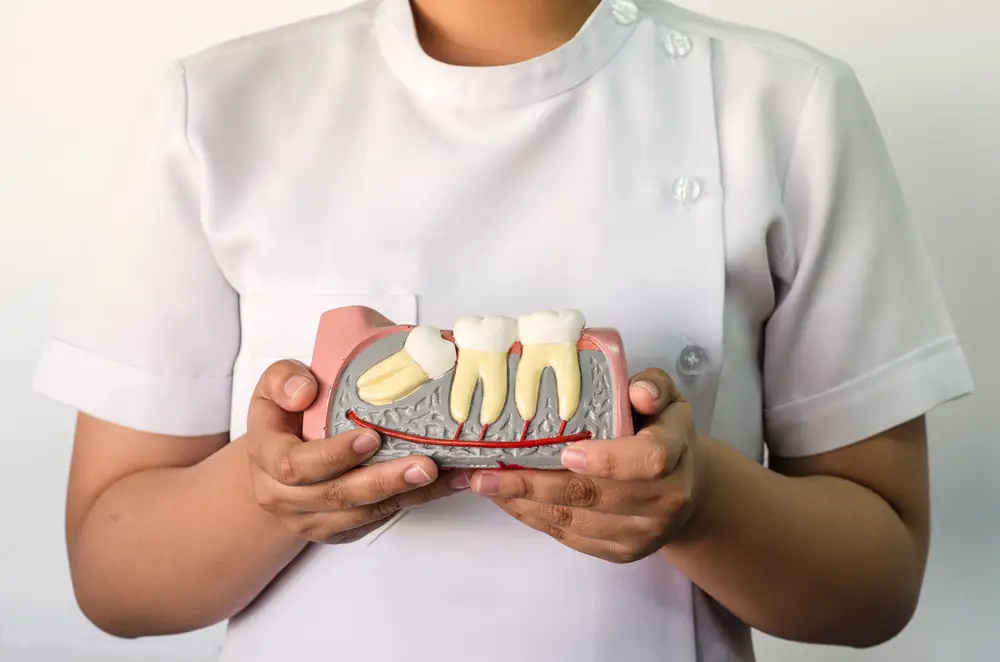 Why Are My Upper Front Teeth Bigger? (Causes & Treatment)