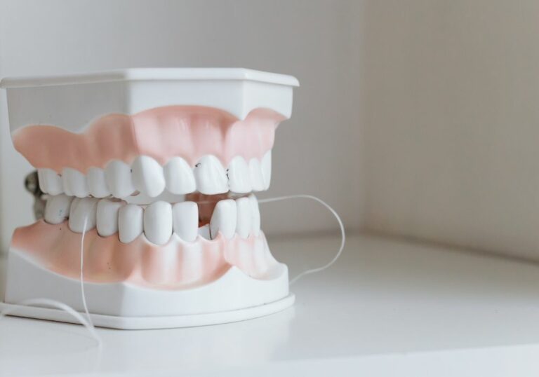 Why Do Teeth Stay In A Skeleton? (Jawbone Structure & Dental Analysis)