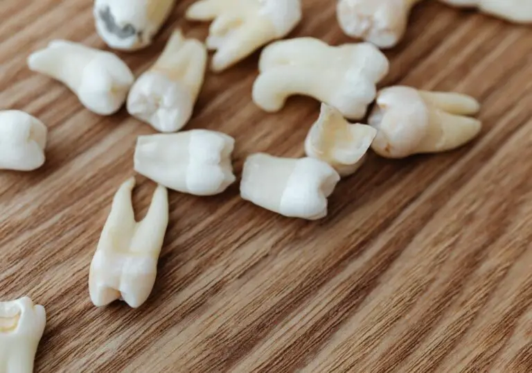 Why Can't Humans Regrow Teeth Like Sharks? (Human vs Shark)