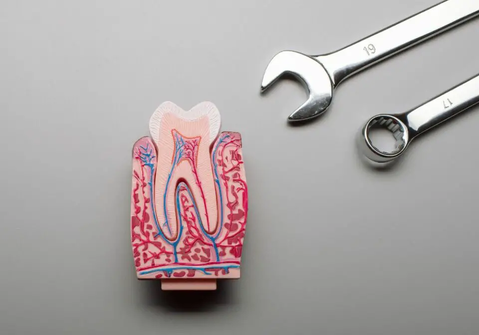 Are Strong Teeth Genetic? (An In-Depth Look at the Role of Genetics)