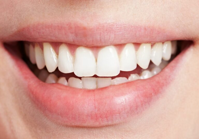 What Is The Average Size Of Each Tooth? (Types Of Teeth)