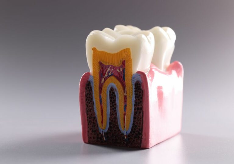 Can Nerves Be Taken Out Of Teeth? (Everything You Need To Know)