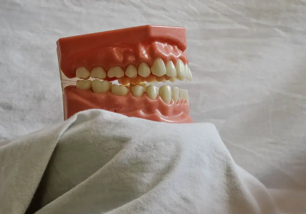 What Is The Forensic Significance Of Teeth? (Unique Features ...