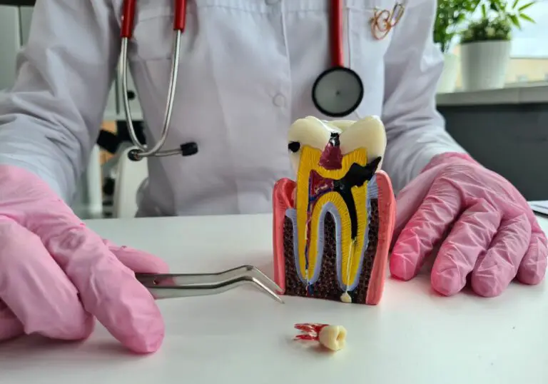 Do Teeth Go Through Bone? Understanding Tooth Anatomy and Structure