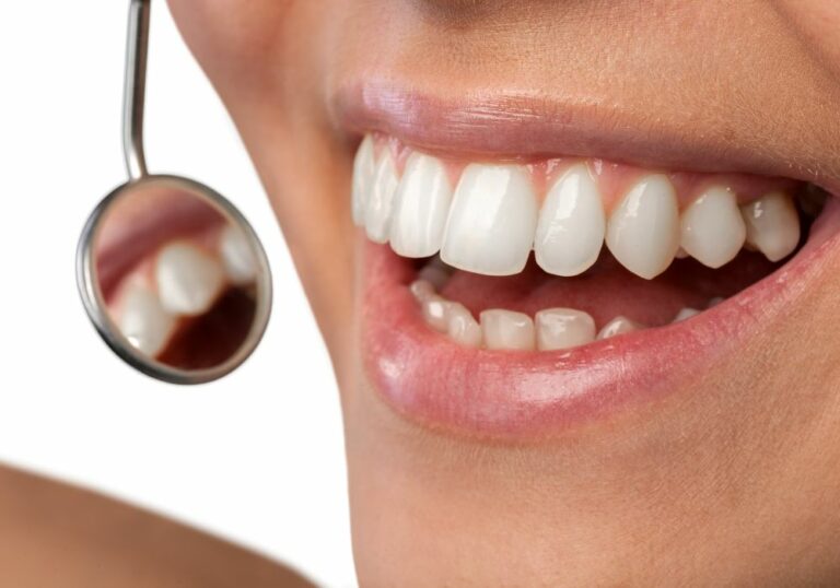 Is Teeth an Organ or Bone? Explained