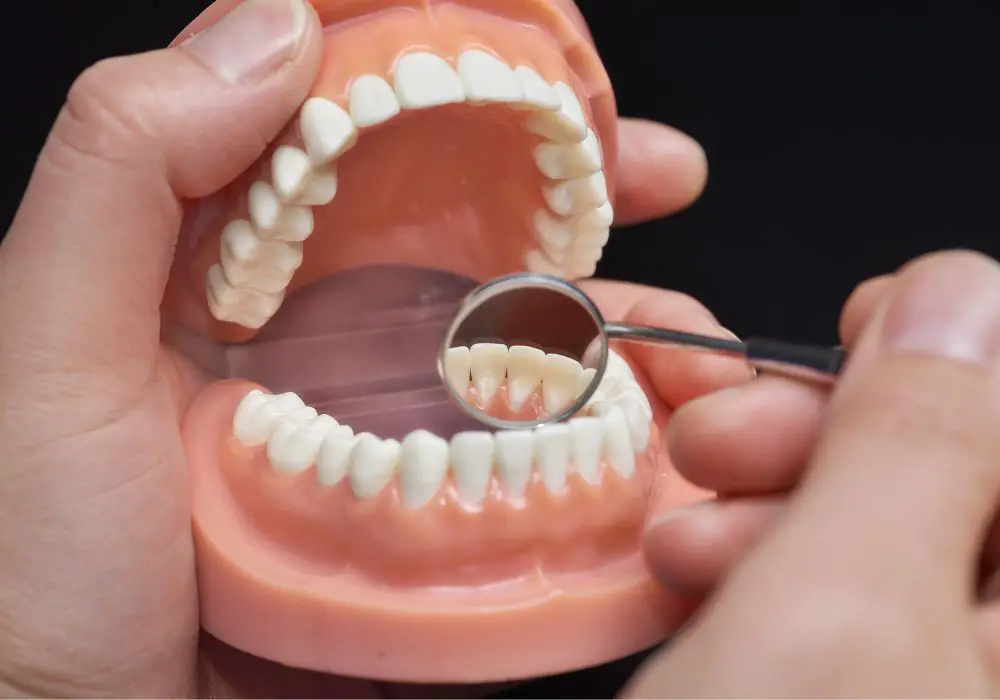 Do We Say Teeth? A Quick Guide to English Pronunciation