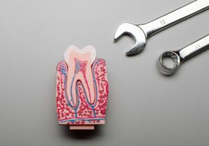 Does a Tooth Need Blood? Exploring the Role of Blood Supply in Tooth Health