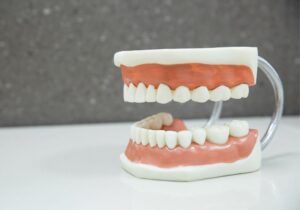 Where is Your #2 Tooth? Find Out Now!