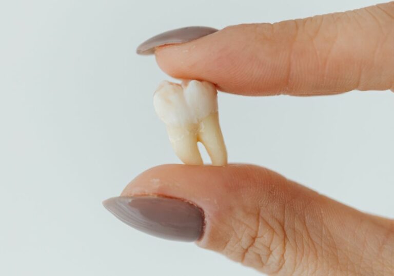 How Big is a Human Tooth? A Quick Guide to Tooth Size
