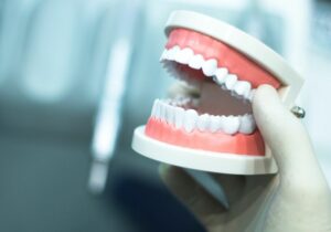 What Teeth Are 30 and 31? A Quick Guide to Understanding Tooth Numbering.