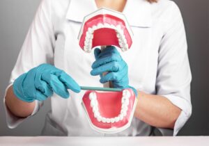 Do Teeth Sit in the Jaw? Understanding Tooth Structure and Placement