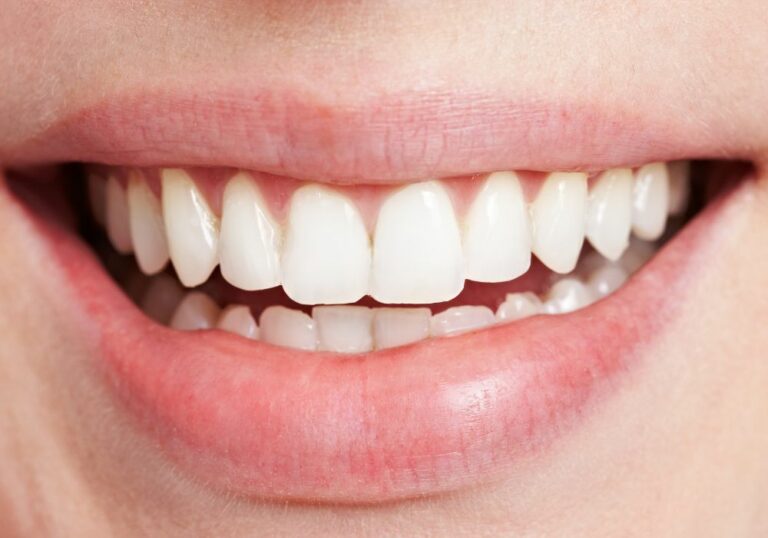 What are Adjacent Teeth? A Quick Guide to Understanding Your Teeth ...