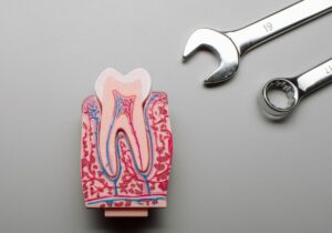 Does a Tooth Have a Vein? Exploring the Anatomy of Teeth