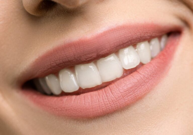 What Are Teeth Made Of? A Quick Guide to Understanding Tooth Composition