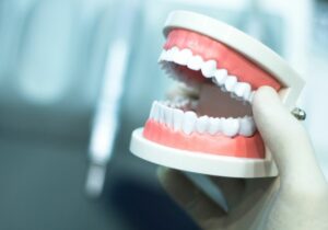 Which Tooth is Number 3? A Quick Guide to Dental Anatomy