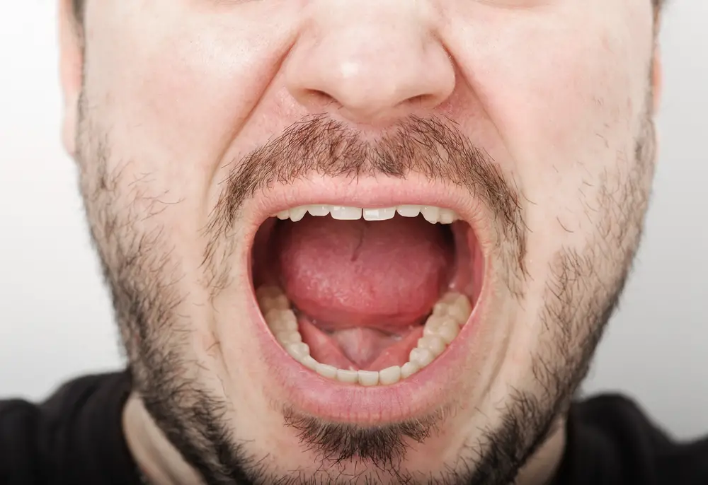 Which Tooth is Number 3? A Quick Guide to Dental Anatomy